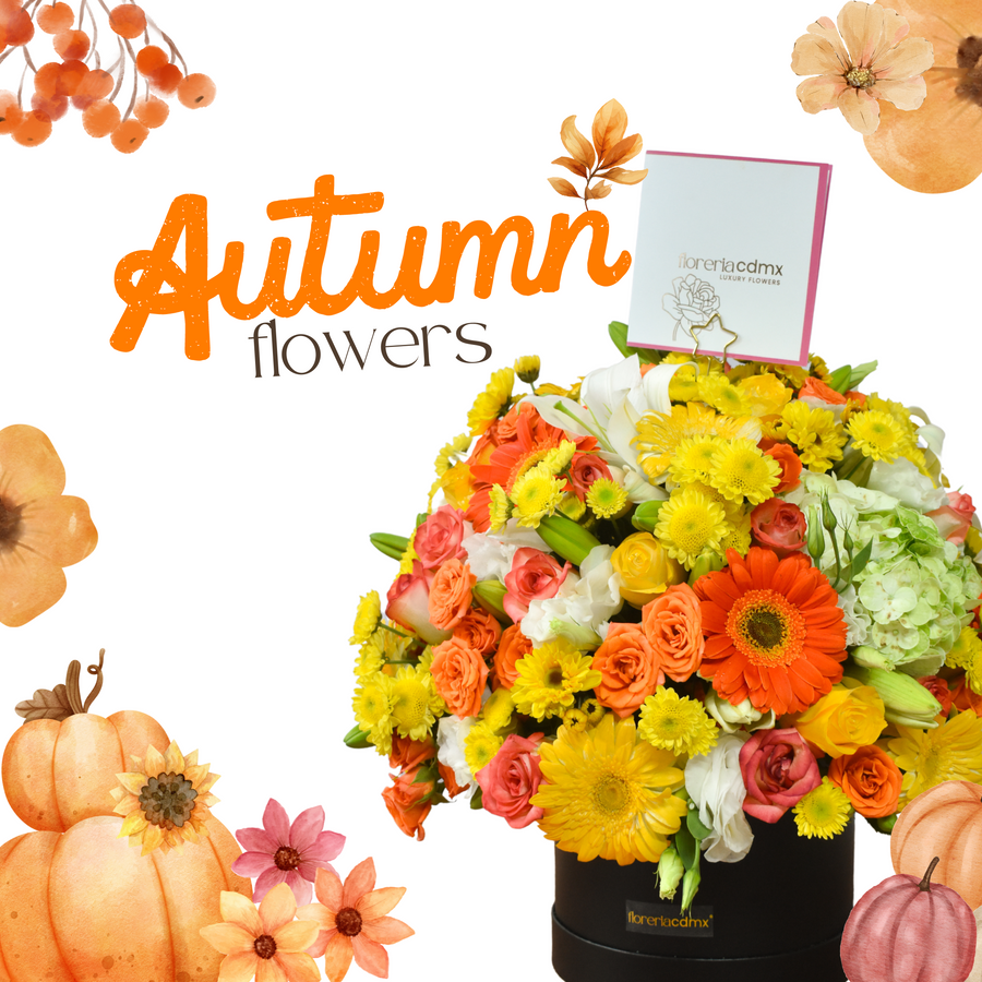 Florería Ciudad de México